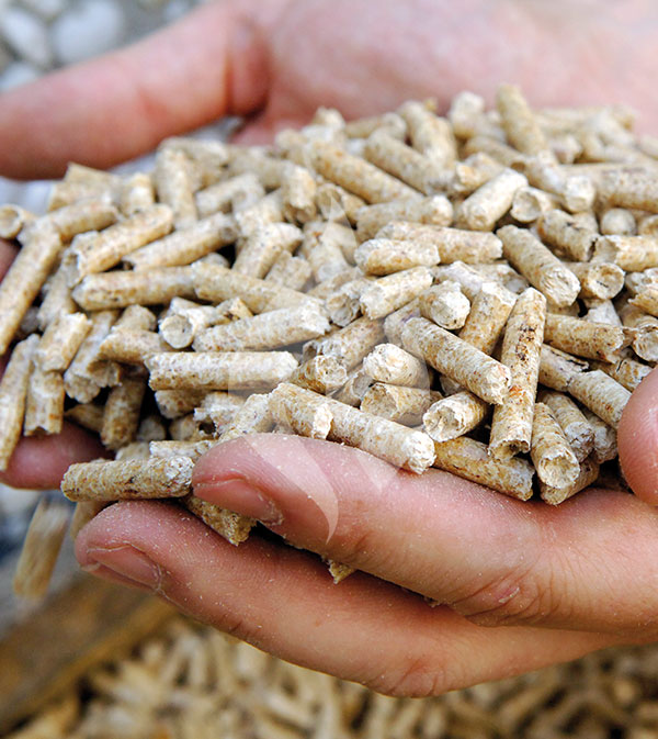 Bestel nu online Badger Houtpellets | Houtpelletshop.com